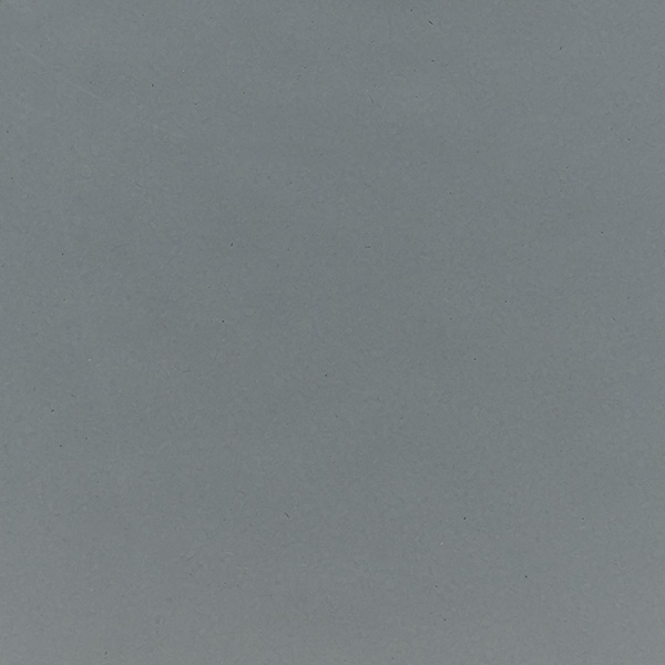 DMS-102 Pool Rail | Rails and Ladders | S.R.Smith